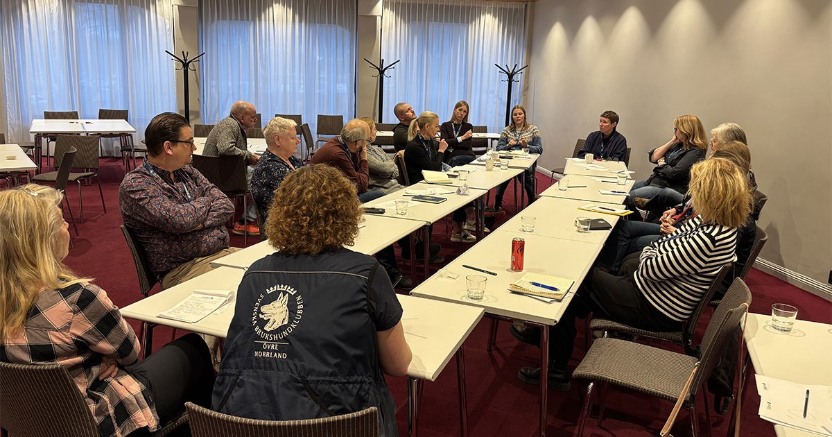 Gemenskap till HUNDra