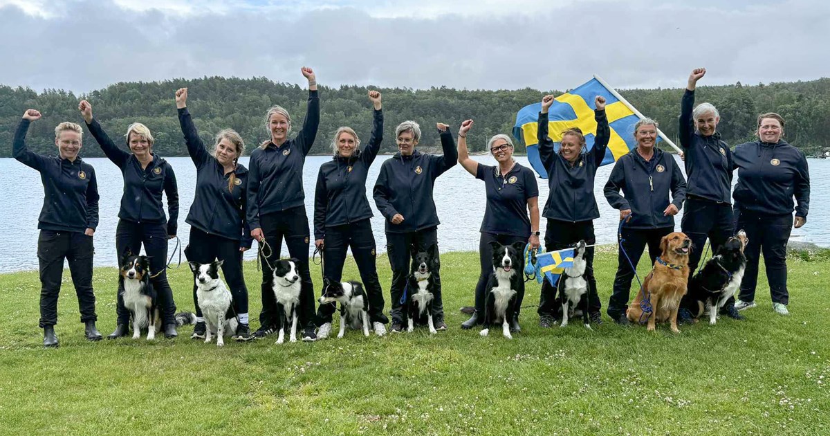 Lydnads-VM 2025: Sol, regn och stark laganda