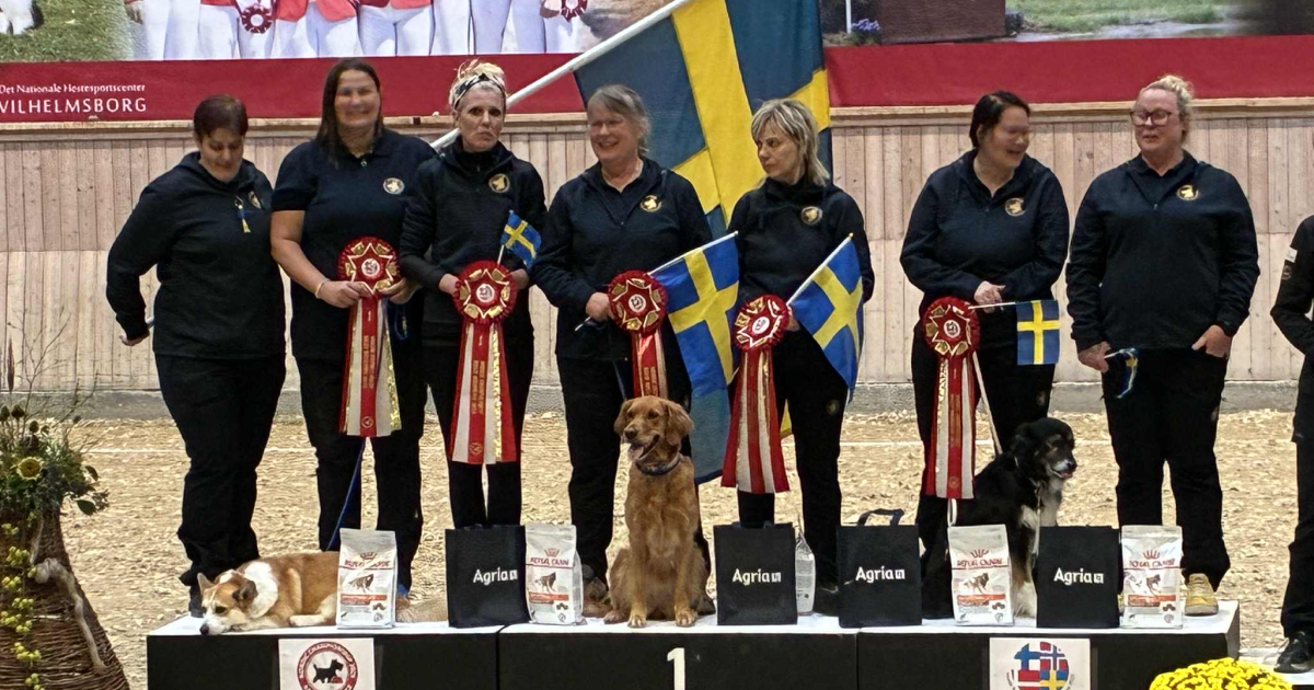 Dubbla guld till Sverige i NM Rallylydnad