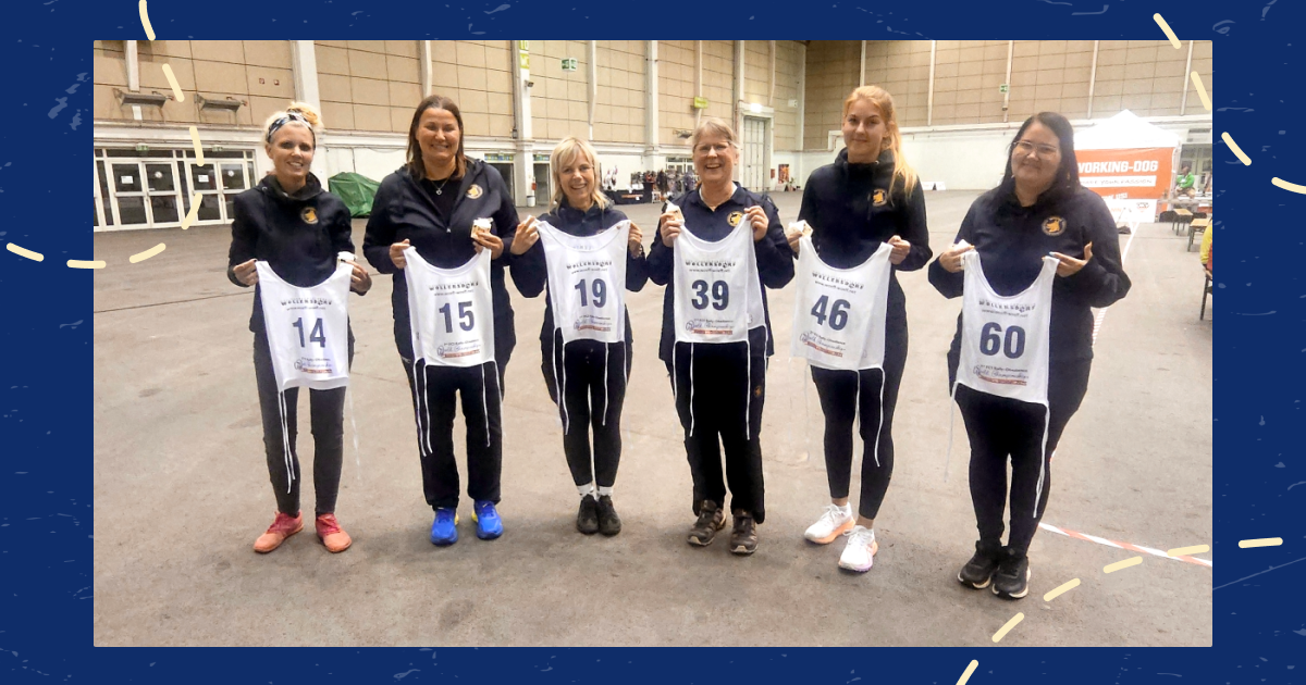 Fyra svenskar till final i VM Rallylydnad