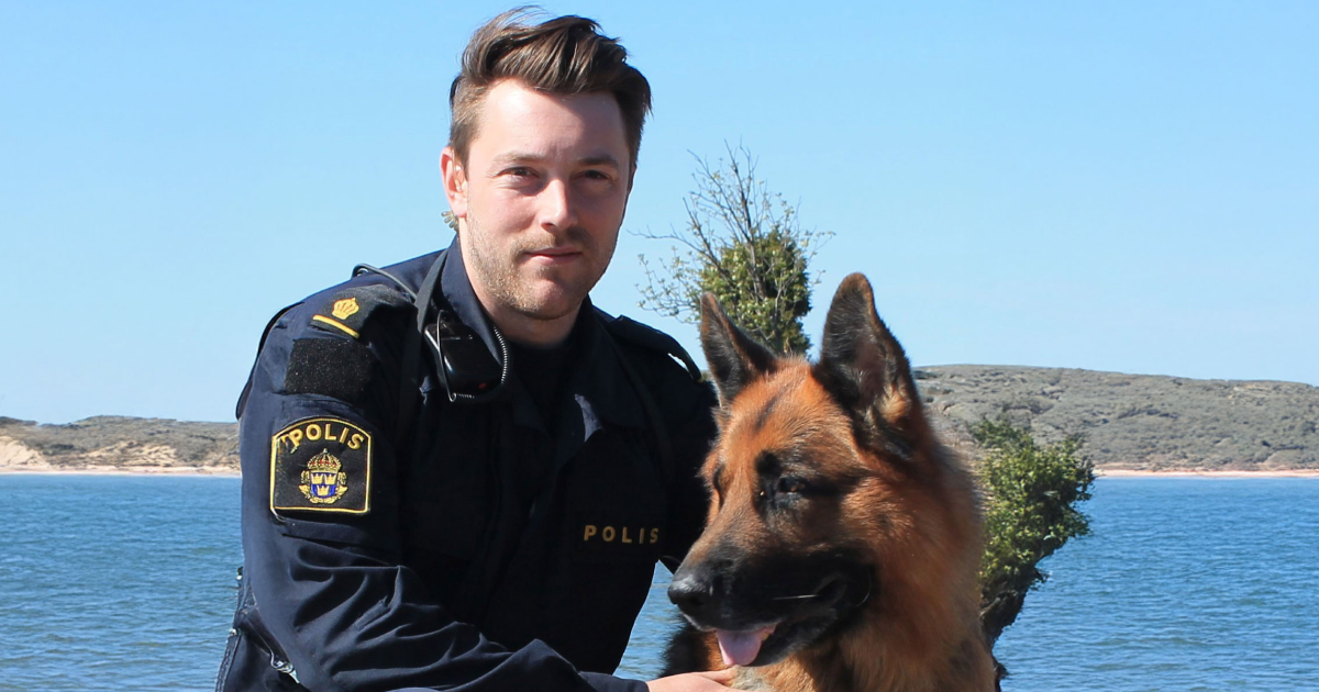 Imre - polishunden som aldrig gav upp